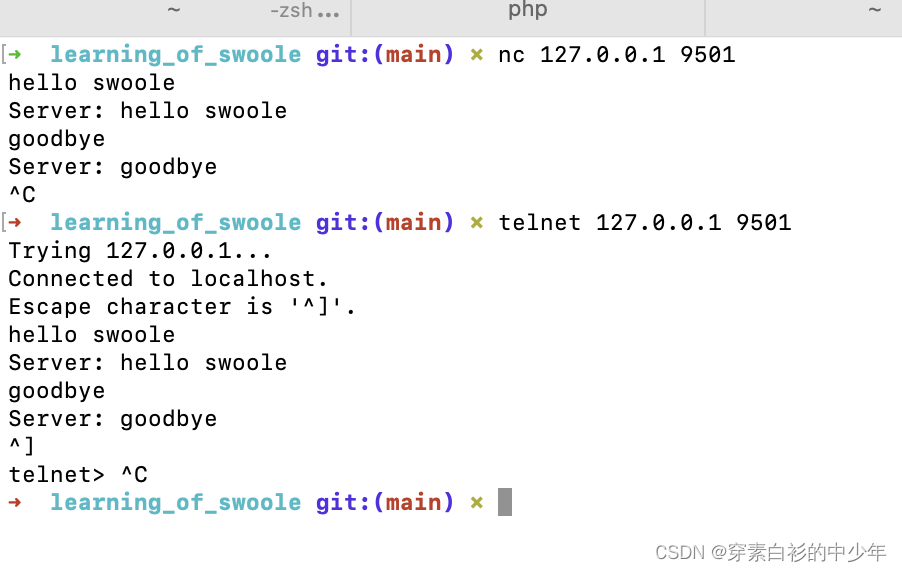 Swoole系列(2) - 快速启动_swoole启动服务-CSDN博客