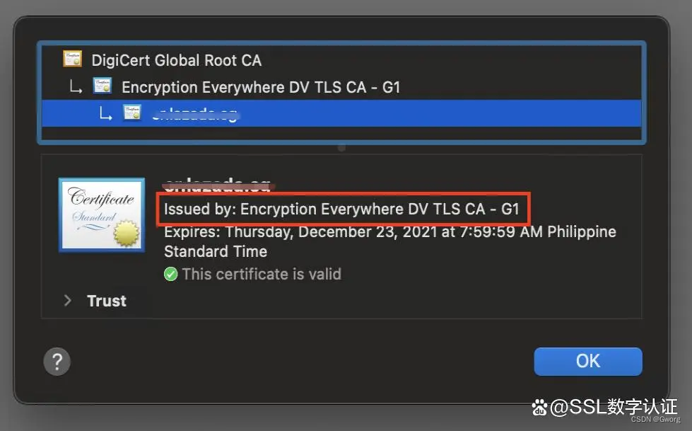 Encryption Everywhere DV TLS CA - G1-CSDN博客