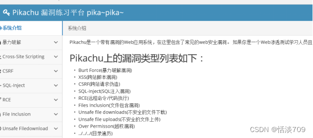 PHPStudy、Pikachu靶场、RIPS安装过程以及 RIPS扫描的过程和结果_在虚拟机安装phpstudy-CSDN博客