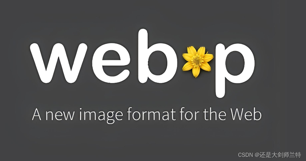 WebP格式图像：起源、优势、兼容性及在线压缩方法_webp兼容性-CSDN博客