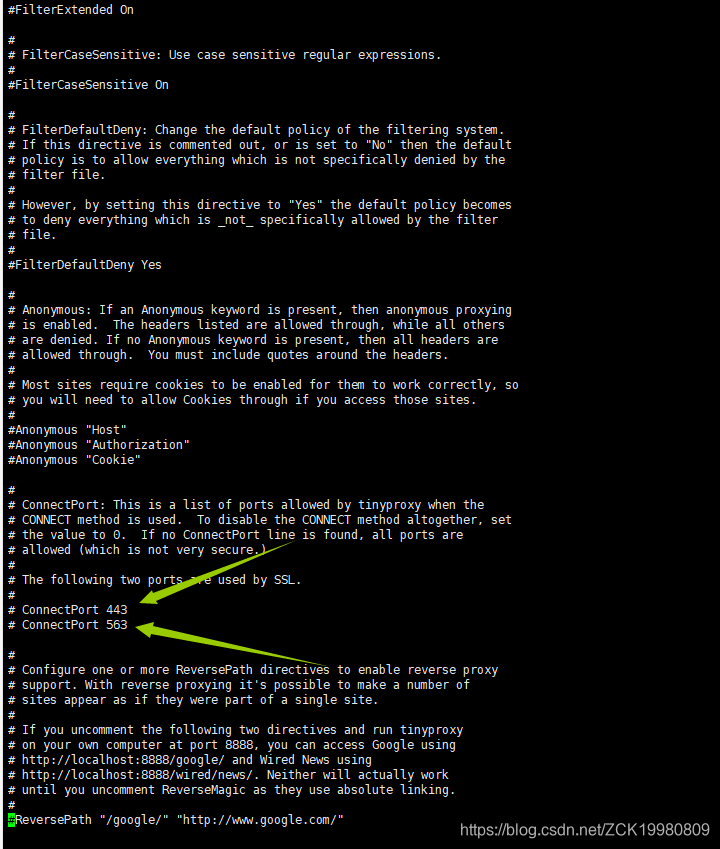 tinyproxy设置成功 chrome可以设置代理访问 xshell却不行_xshell代理不生效-CSDN博客