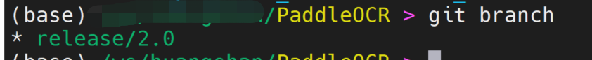 PaddleOCR——PGNet试用-CSDN博客