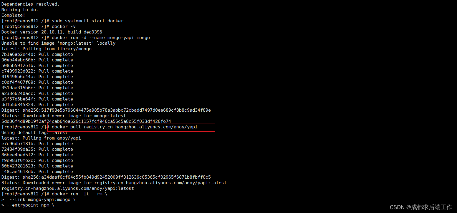 YApi==阿里云服务器CentOS8上通过docker搭建部署YApi可视化接口管理平台。成功，命令全。_centos8安装yapi-CSDN博客