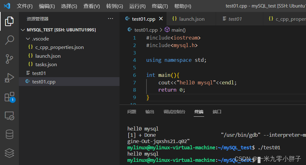 vscode环境配置文件生成_vscode导出配置文件-CSDN博客