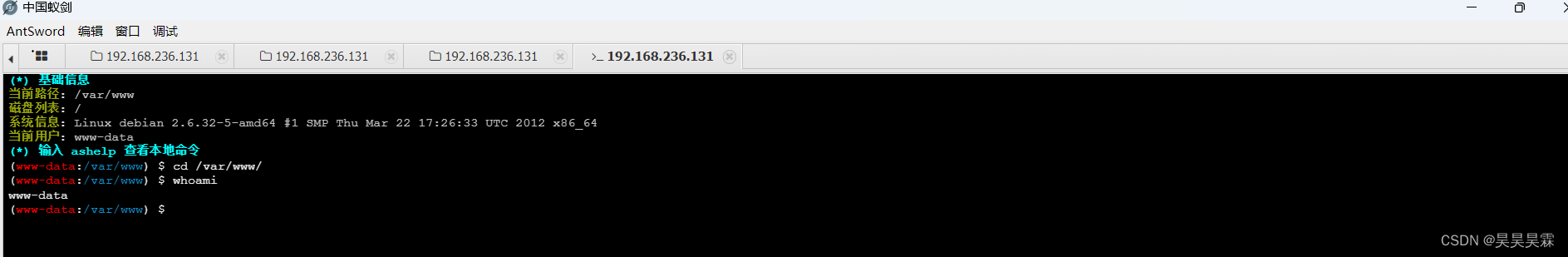 PHP-CGI远程代码执行漏洞（CVE-2012-1823）-CSDN博客