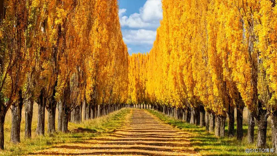 idea可以正常启动无法进入断点_IDEA Debug 无法进入断点的解决方法-CSDN博客