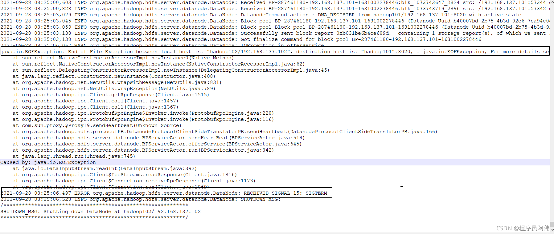 hadoop中的两个datanode节点的VERSION文件冲突，导致其中有一个datanode无法启动_datanode version-CSDN博客