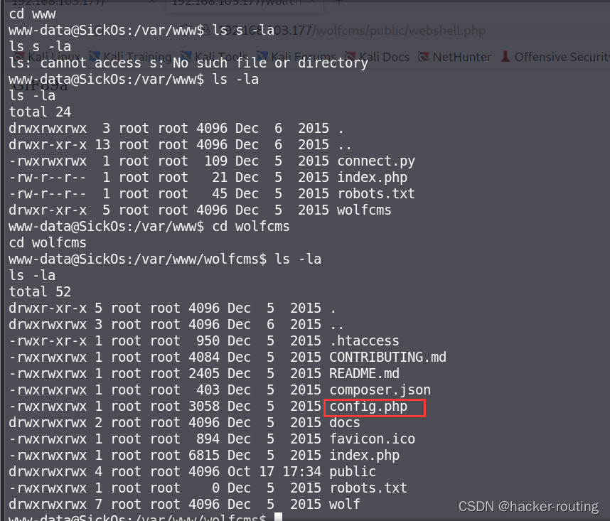 VulnHub SICKOS: 1.1_sickos提权教程-CSDN博客