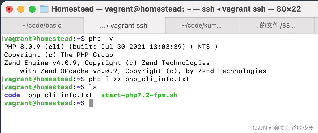 PHP CLI - 切换版本_linux cli模式切换php版本-CSDN博客