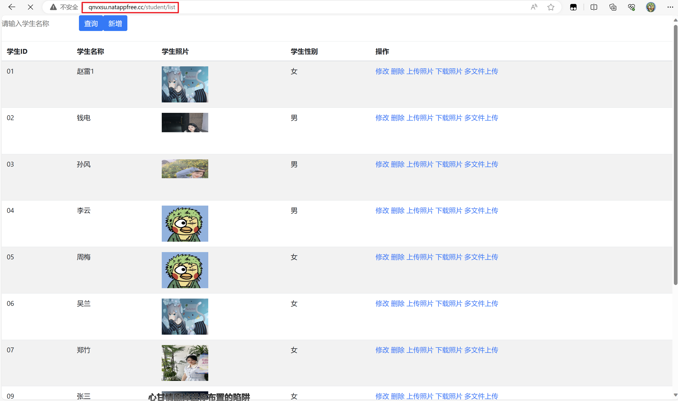 【无公网IP内网穿透】基于NATAPP搭建Web站点_natapp配置-CSDN博客