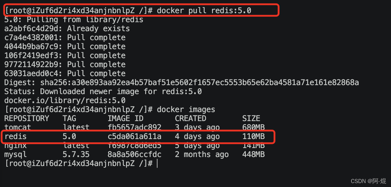 10.docker安装redis_docker pull redis 5-CSDN博客