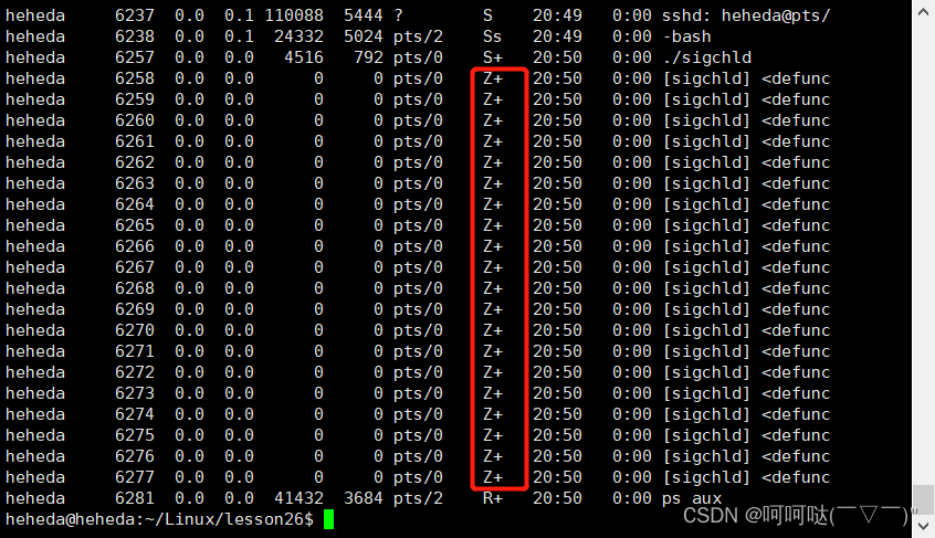 基于linux下的高并发服务器开发（第二章）- 2.27 SIGCHLD 信号-CSDN博客
