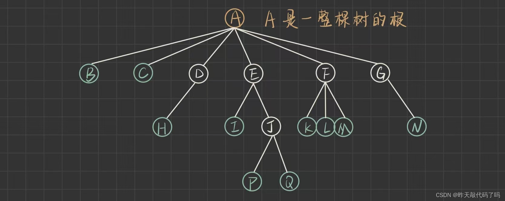 Java【二叉树】详细图解 掌握重点基本操作二叉树基本算法 Java版 Csdn博客
