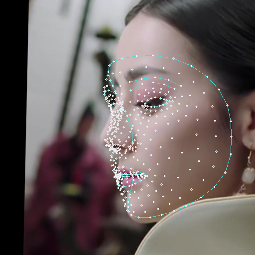 用mediapipe定位人脸轮廓_mediapipe face mesh位置-CSDN博客