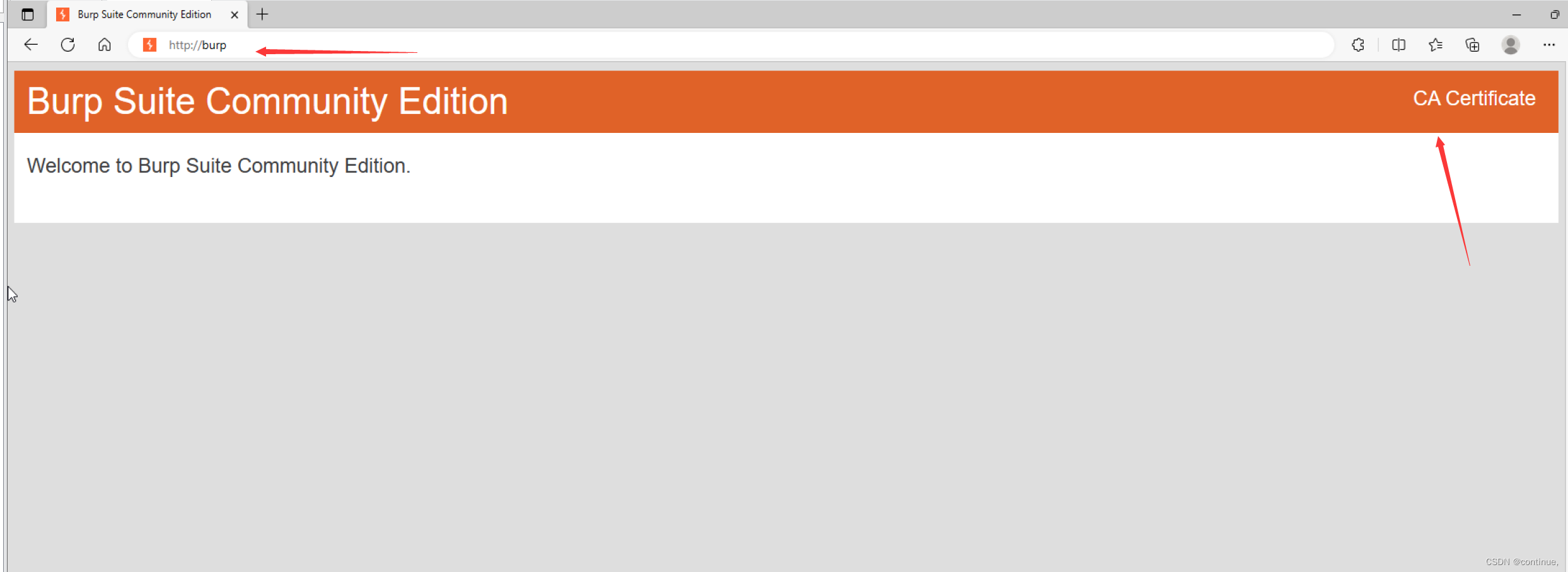 Java与BurpSuite安装及拦截配置指南-CSDN博客
