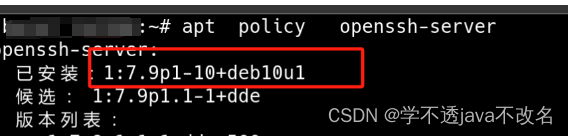 统信UOS SSH服务升级（ubuntu20）内网_统信uos升级ssh-CSDN博客