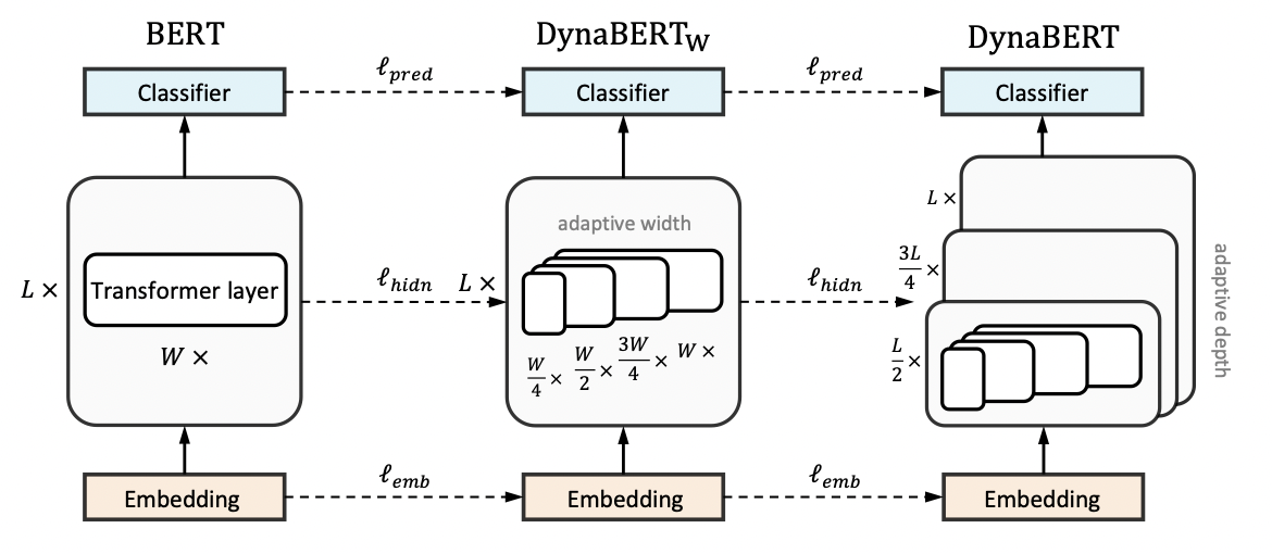 DynaBERT: Dynamic BERT with Adaptive Width and Depth（2020-4-8）_dynadepth-CSDN博客