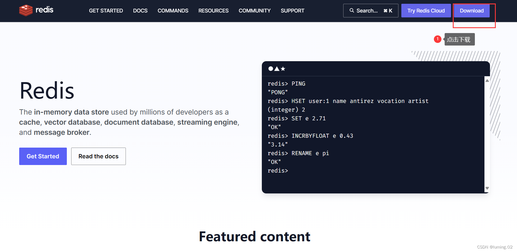 Redis 下载及配置 一条龙全教程_redis配置文件下载-CSDN博客