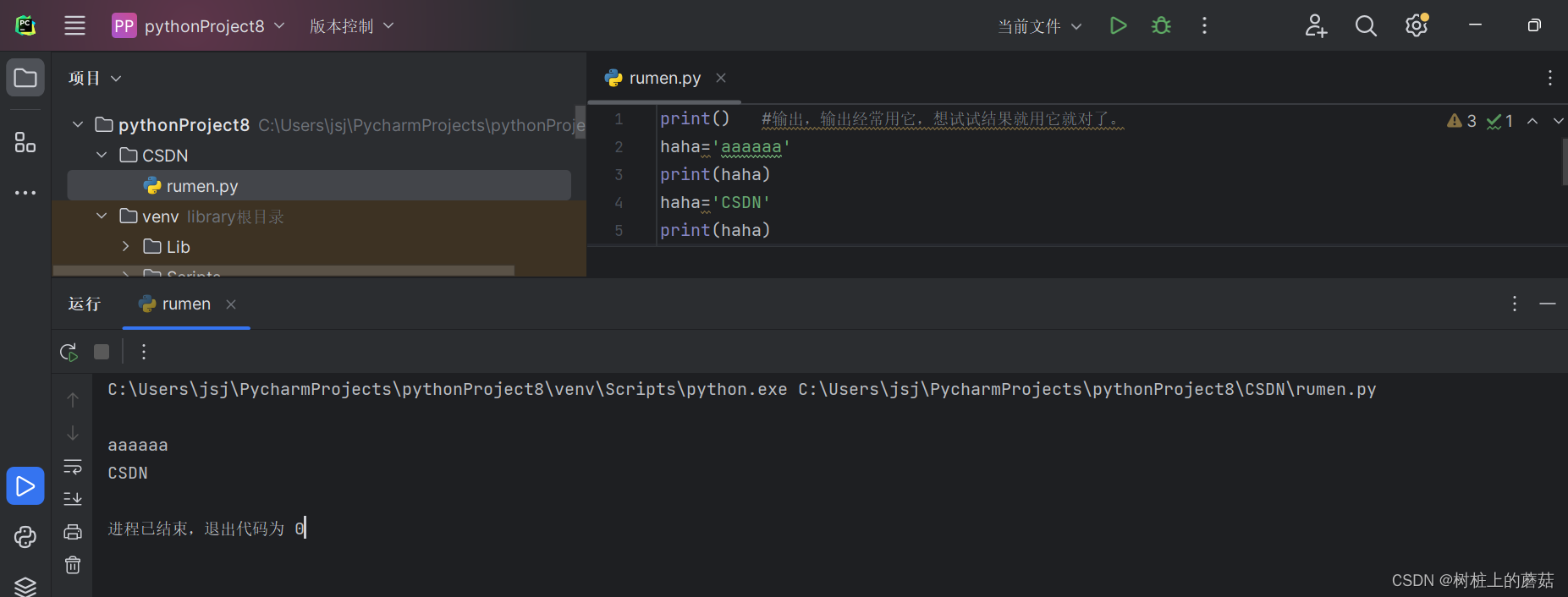 入门级别 python，（一）1.认识变量-CSDN博客