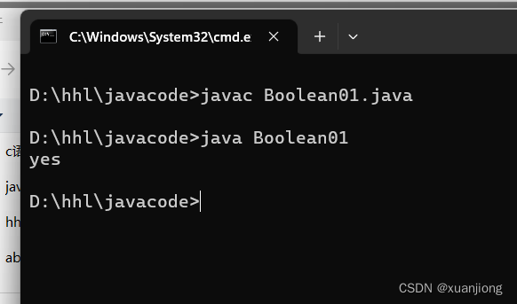 boolean注意事项(本质标识符的命名规则和规范)_boolean命名规范-CSDN博客