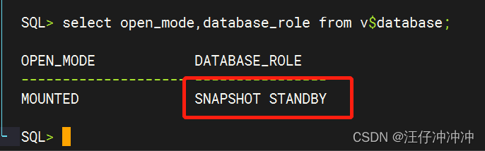 oracle Snapshot standby database（snapshot打开备库）-CSDN博客