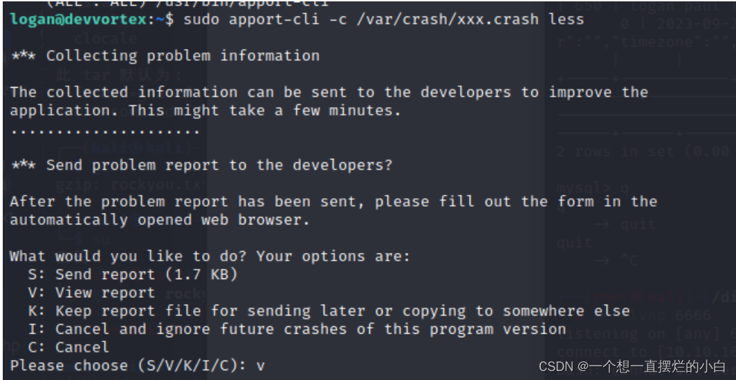 HTB Devvortex（Easy）_devvortex.htb-CSDN博客