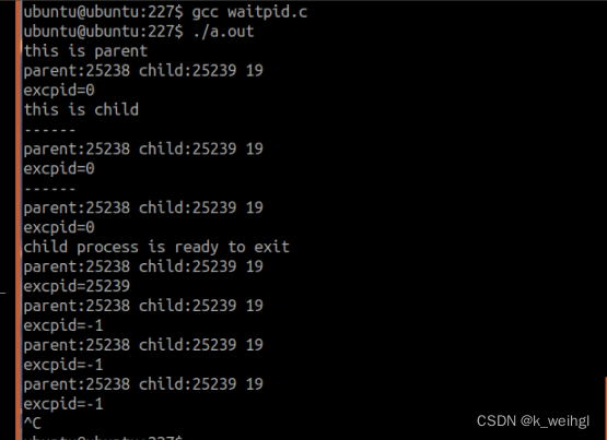 Linux系统编程：waitpid函数在无子进程及兄弟进程间的应用-CSDN博客