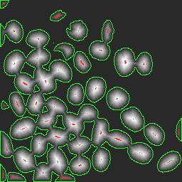 【OpenCV-Python】教程：3-15 分水岭图像分割_cv2.watershed-CSDN博客