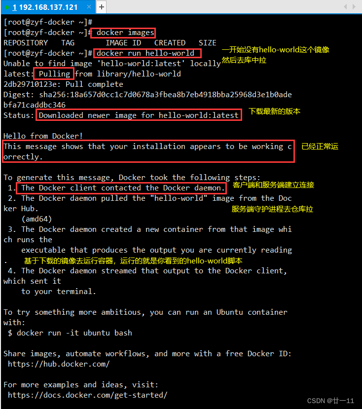 Docker：（三）docker镜像与容器基本的基本操作_在容器立面输入docker ps-CSDN博客