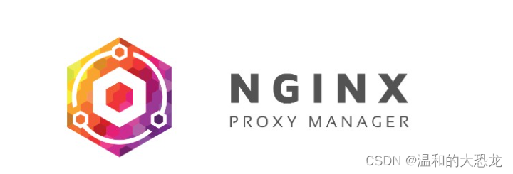 超强大的 Nginx 可视化管理平台 Nginx-Proxy-Manager-CSDN博客