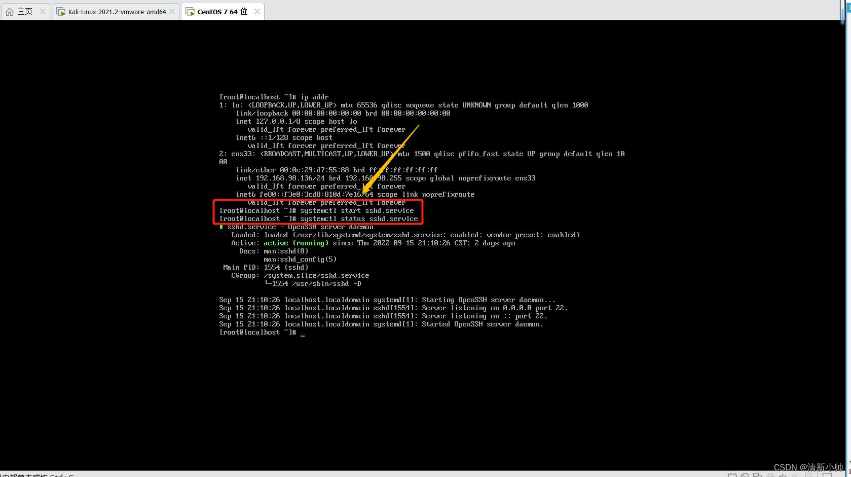练习使用kali的Hydra工具_kali hydra-CSDN博客