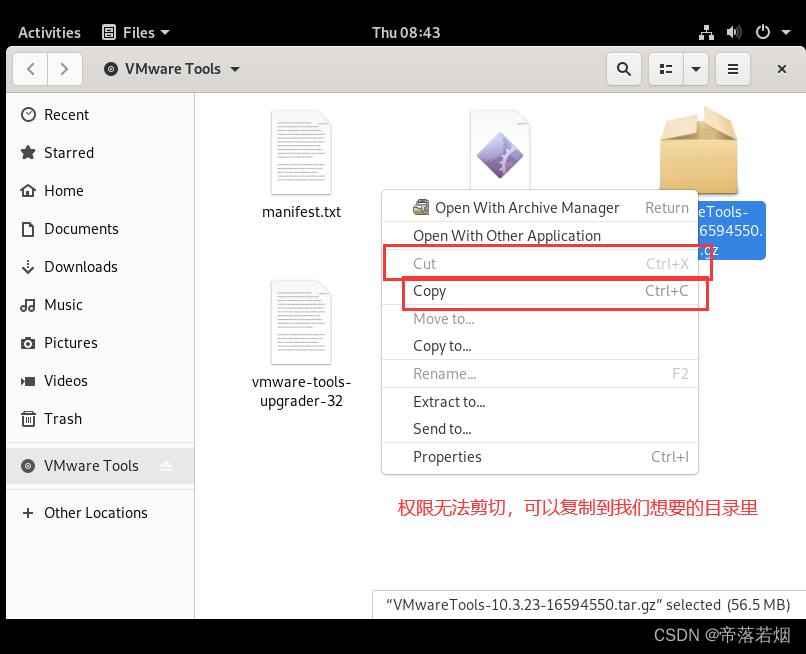 Debian10安装VMware Tools_debian安装vmware tools-CSDN博客