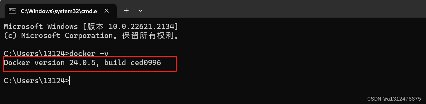 windows上打包docker_windwos docker打包本地环境-CSDN博客