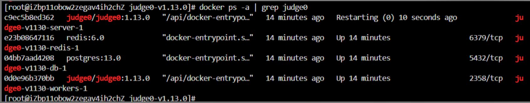 个人技术总结——Judge0的部署与使用-CSDN博客