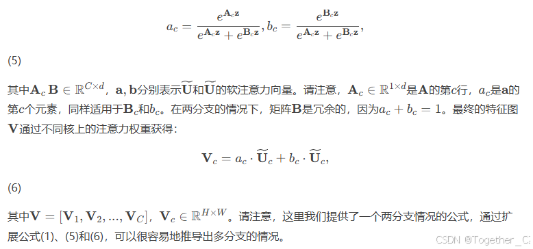SKNet：Selective Kernel Networks——选择性核网络-CSDN博客