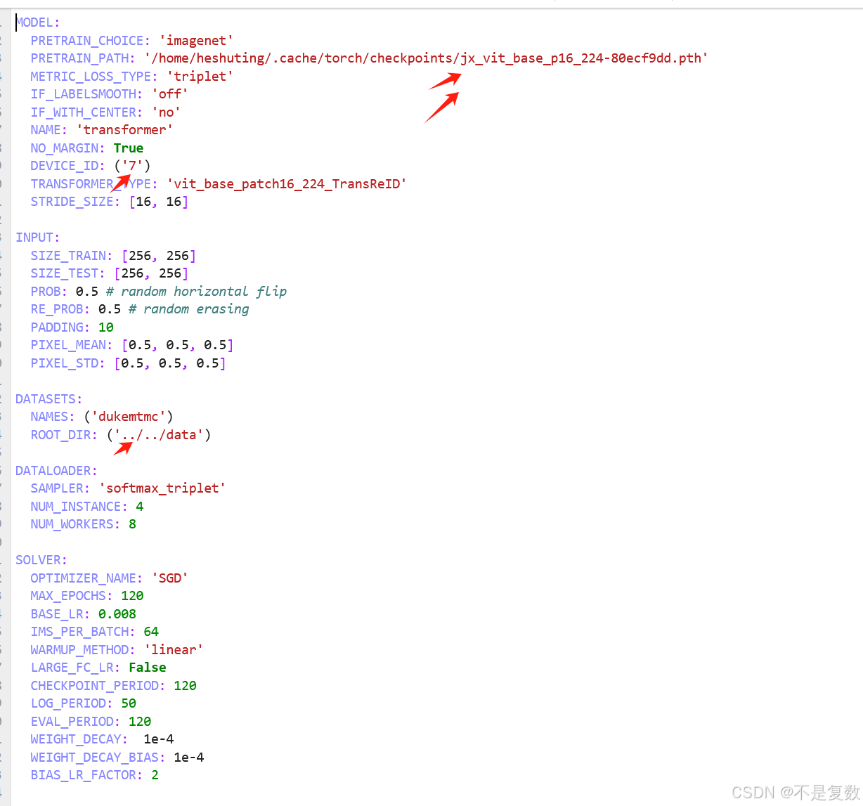 TransReID: Transformer-based Object Re-Identification阅读和代码实现-CSDN博客