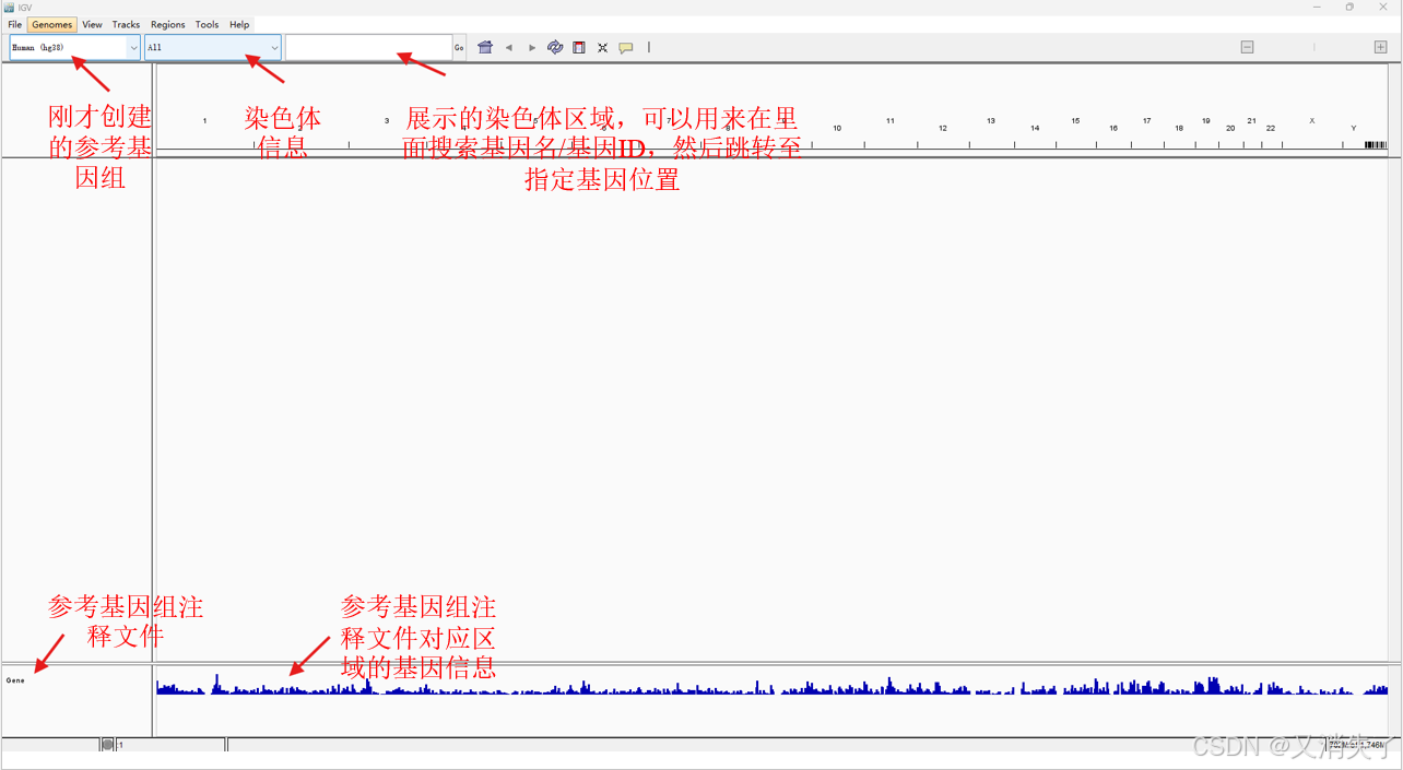 IGV软件系列--peak可视化 -CSDN博客