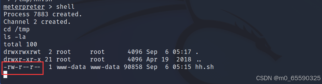 实训Day10 Linux提权_linux提权实验-CSDN博客