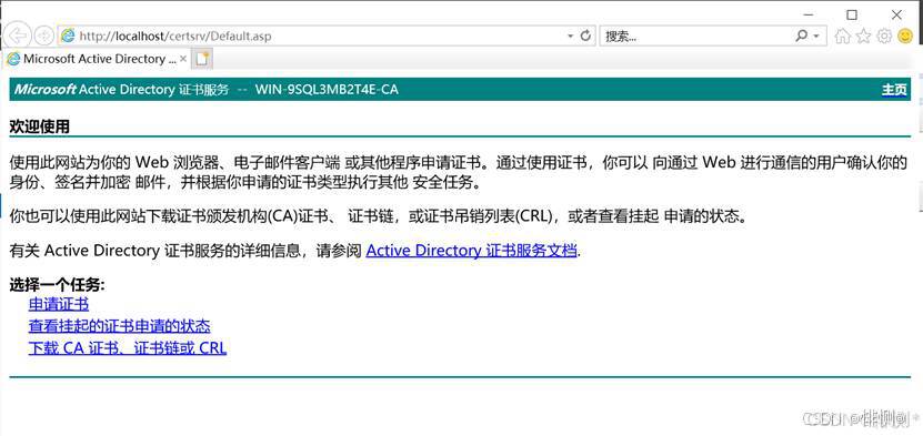 Windows11 IIS+DNS搭建ssl证书网站_win11 ssl证书-CSDN博客