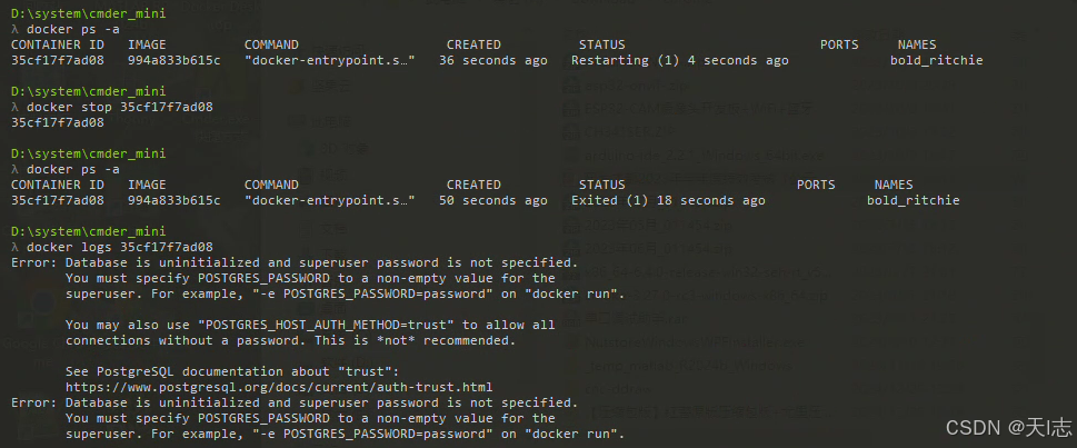 PostgreSQL + pgvector + LLM RAG docker方式部署(windows)_win docker 安装 pgvetor-CSDN博客
