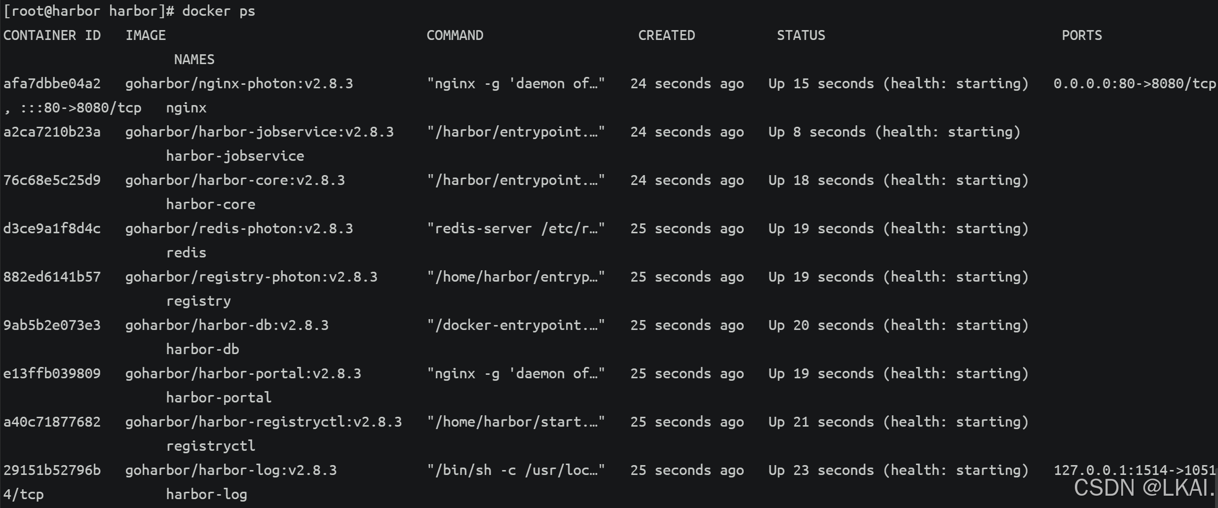 Docker Swarm集群部署规划_docker swarm部署-CSDN博客