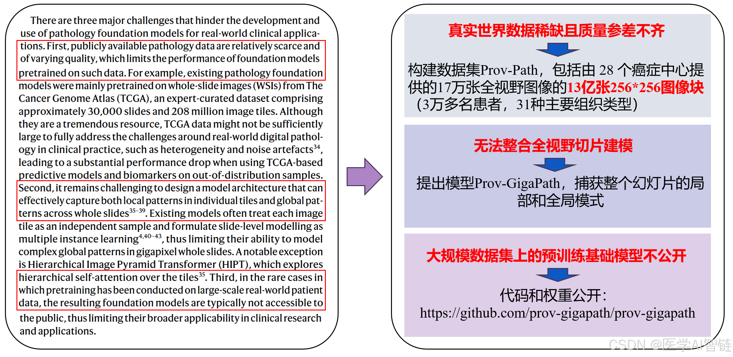 （文章解读）基于真实世界数据的数字病理全切片基础模型_dinov2 病理切片 使用教程-CSDN博客