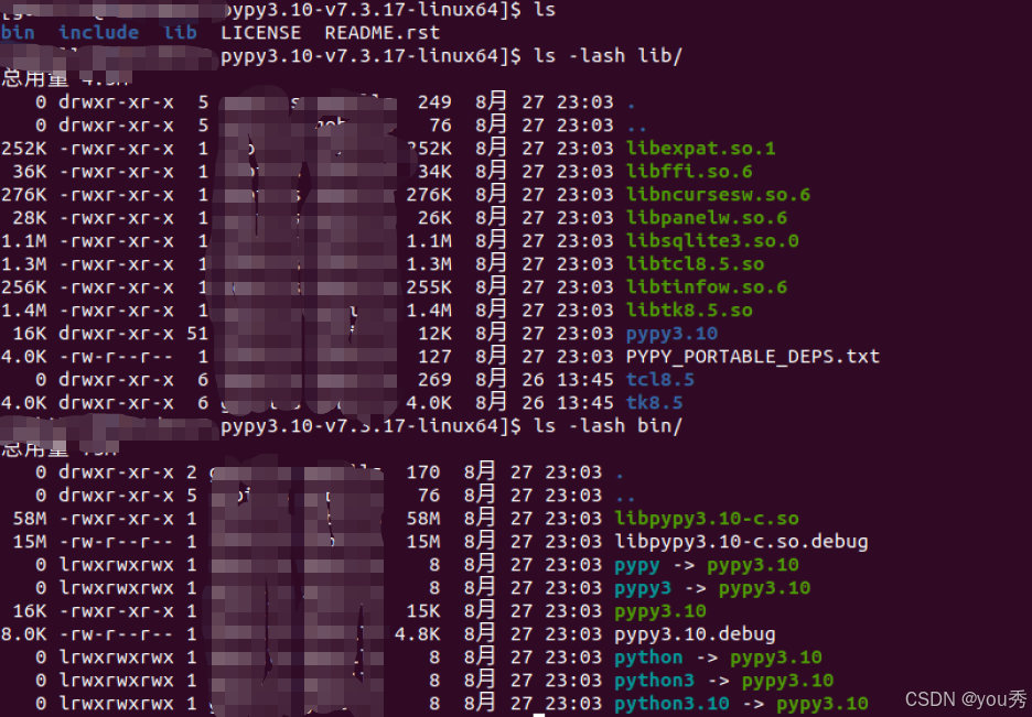pypy的编译安装或预编译安装-CSDN博客