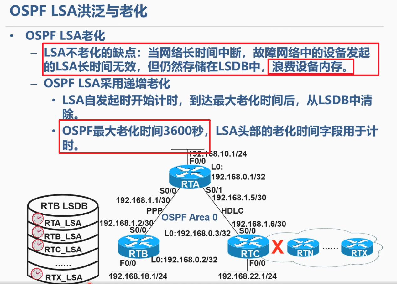 网络基础DAY19-OSPF-CSDN博客