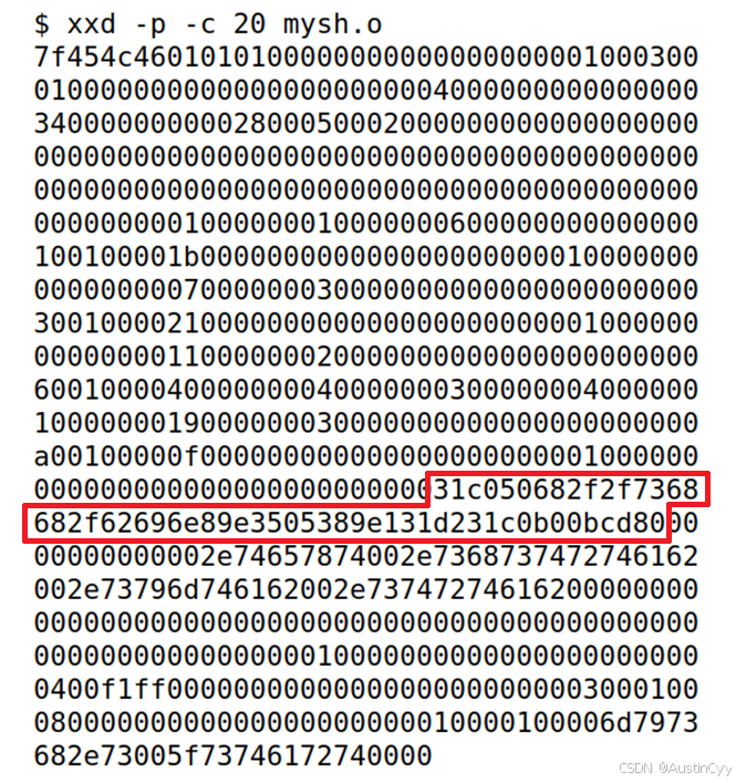 【Seed-Labs 2.0】Shellcode Development Lab-CSDN博客
