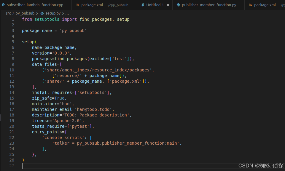 ROS2 - Python工程创建和工程解析_ros2 python-CSDN博客