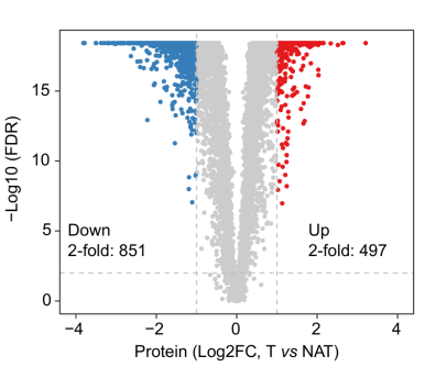 蛋白质组学生信分析①：入门必看！火山图 + GO/KEGG 气泡图搭建生信分析基础框架-CSDN博客
