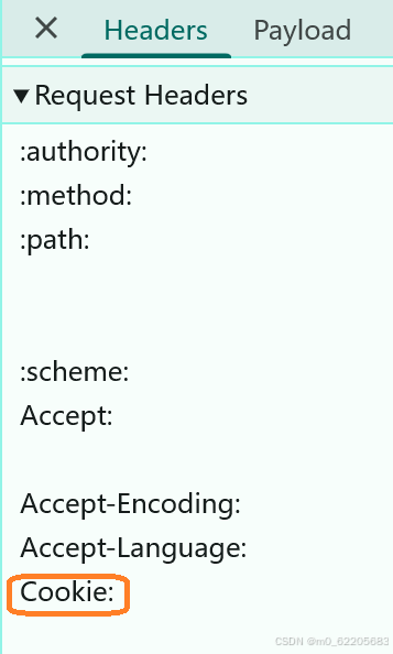 手动获取Cookie的方法（以chrome浏览器为例）_小红书cookie怎么获取-CSDN博客