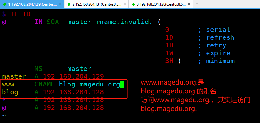 DNS域名解析服务和CDN原理_域名解析和cdn-CSDN博客