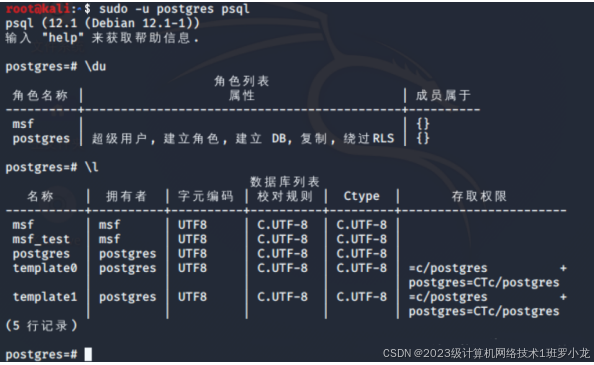 MSF连接postgresql数据库，设置密码并使其自动连接_msf连接数据库-CSDN博客